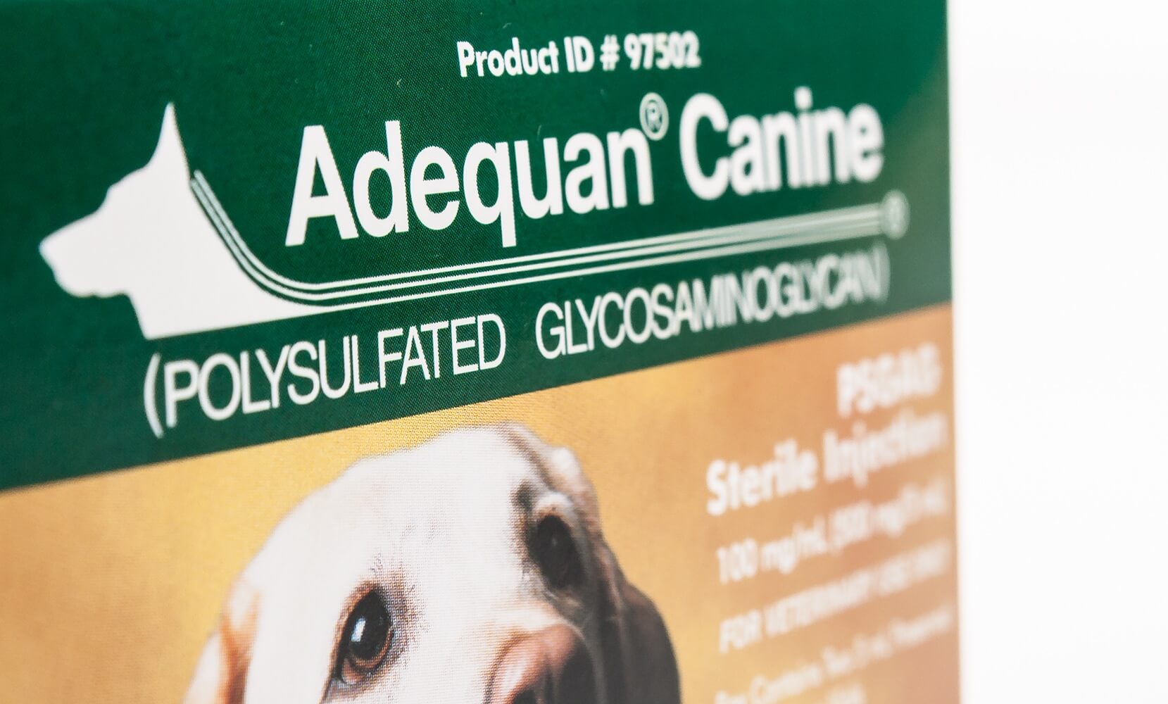 Shop Pharmacy for Sheep Rx Critical Care