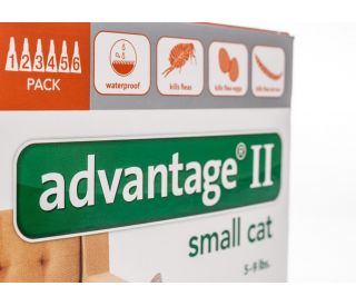 Advantage® II for Cats | Santa Cruz Animal Health