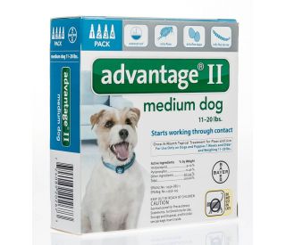 Advantage II Medium Dog, Teal, 11-20 pounds, 4 count