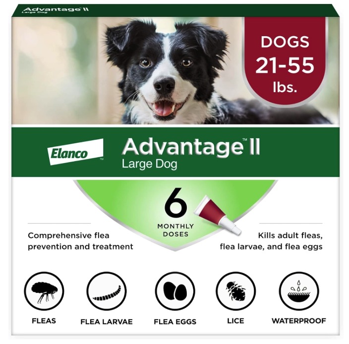 Shop Pharmacy for Sheep Rx Critical Care