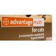 Advantage Multi® for Cats | Santa Cruz Animal Health
