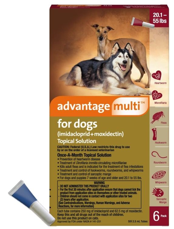 Advantage Multi® for Dogs | Santa Cruz Animal Health