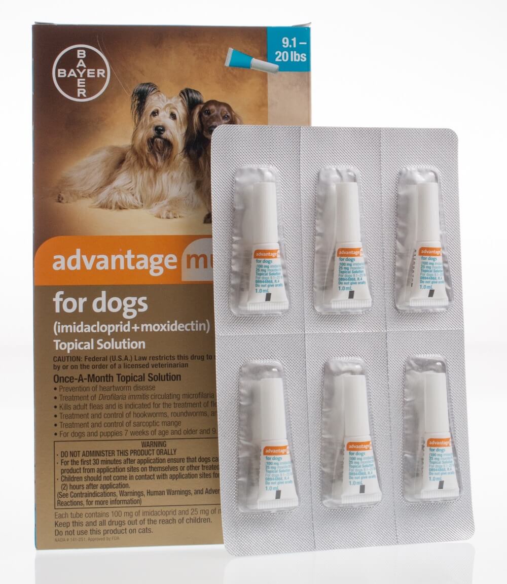 Advantage Multi® for Dogs | Santa Cruz Animal Health