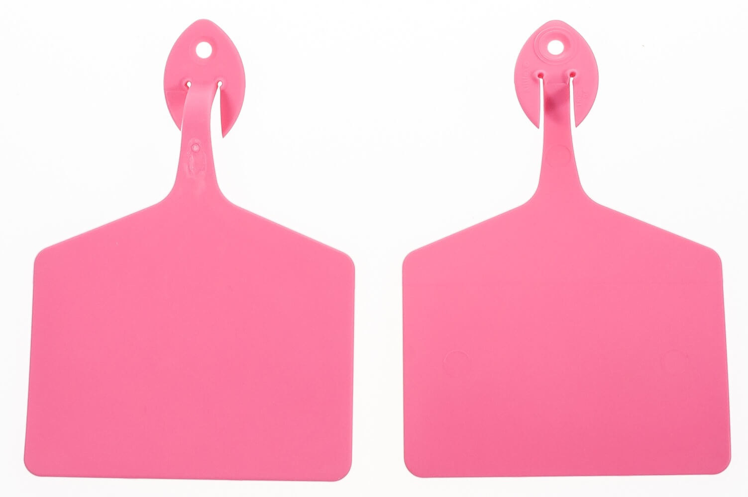 Allflex® Feedlot Tags, Blank | Santa Cruz Animal Health