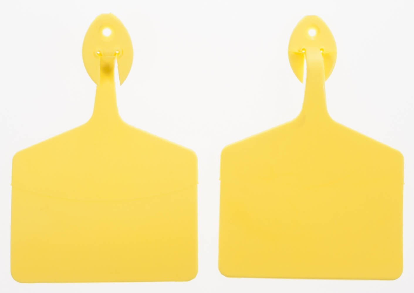 Allflex® Feedlot Tags, Blank | Santa Cruz Animal Health