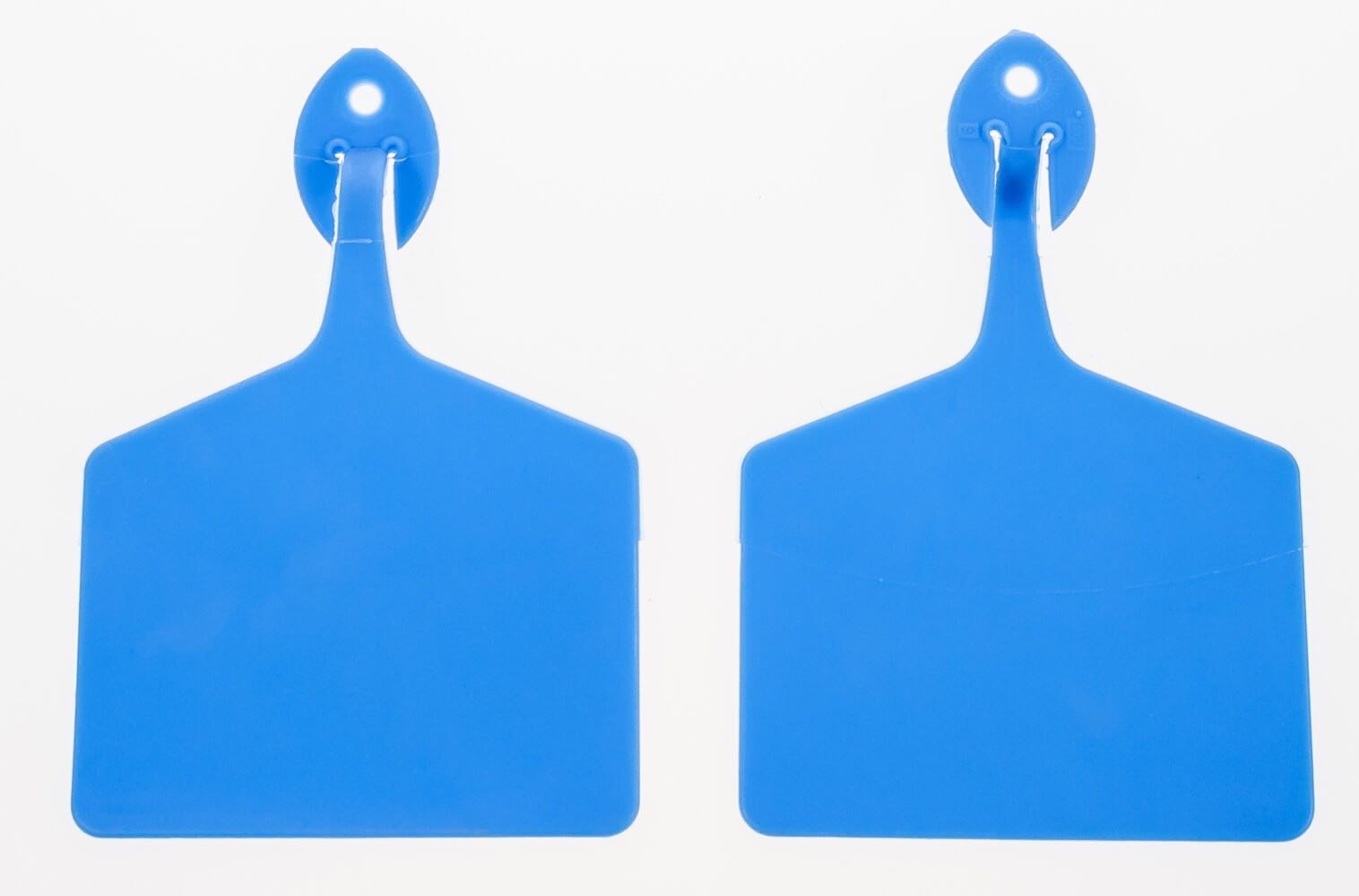 Shop Pharmacy for Sheep Rx Critical Care