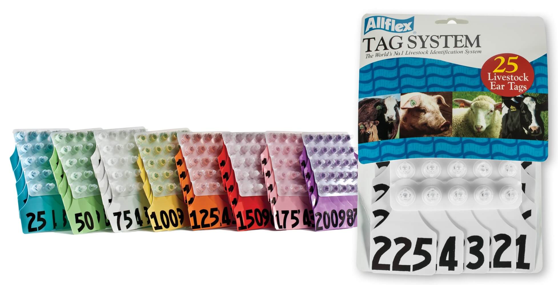 Allflex® Global Ear Tag, Large, White | Santa Cruz Animal Health