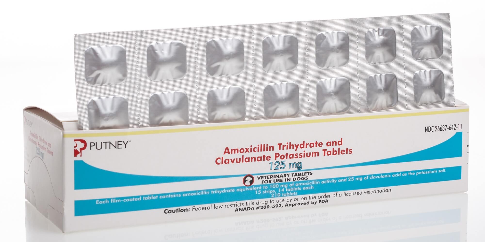 Amoxi-Clav Tabs, 210 count | Santa Cruz Animal Health