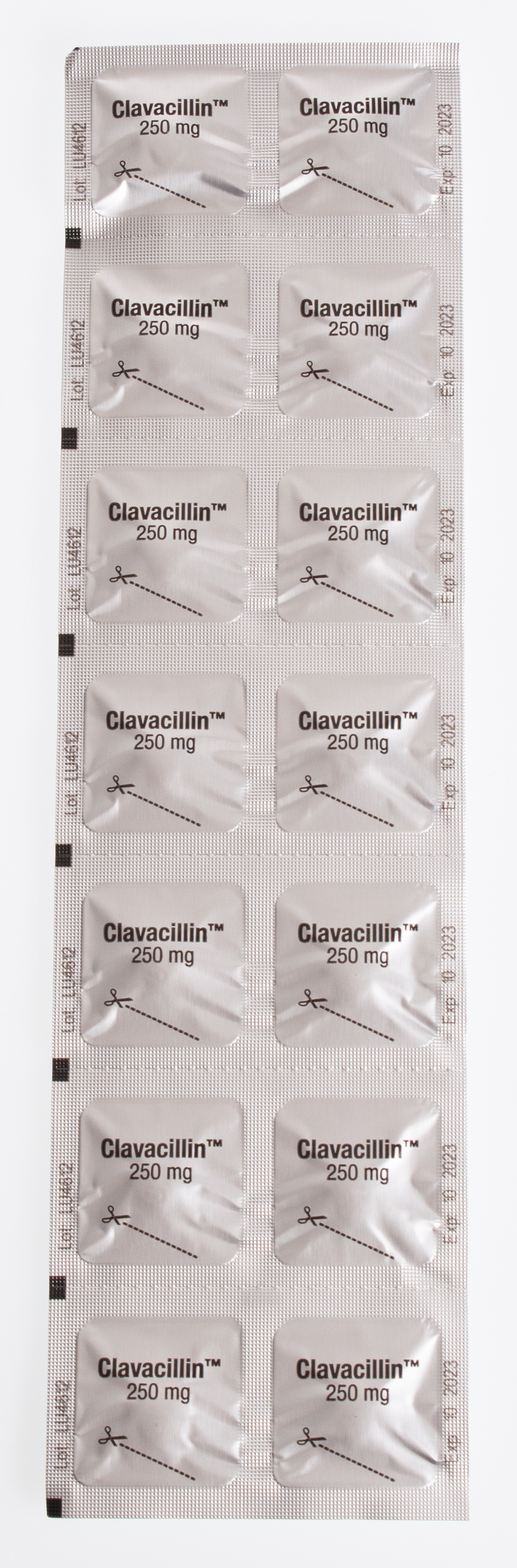 Amoxi-Clav Tabs, 210 count | Santa Cruz Animal Health