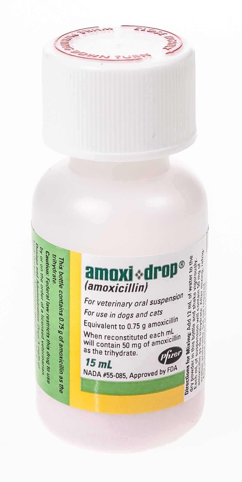 Shop Pharmacy for Sheep Rx Critical Care