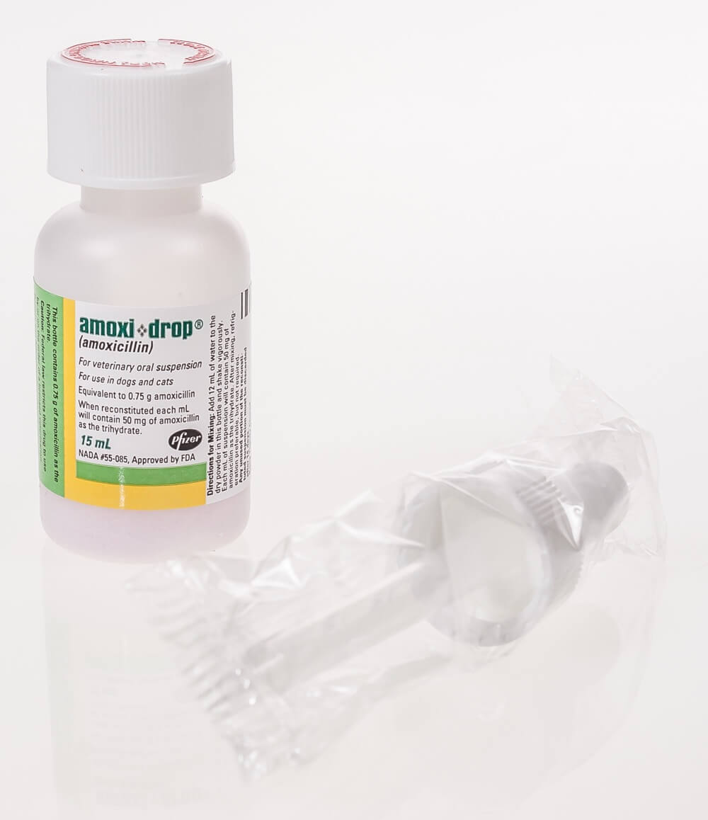 Shop Pharmacy for Sheep Rx Critical Care