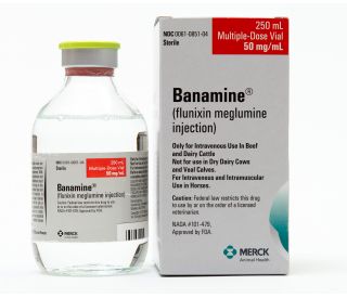 Banamine® Injectable | Santa Cruz Animal Health