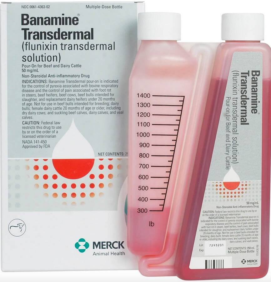 Shop Pharmacy for Sheep Rx Critical Care