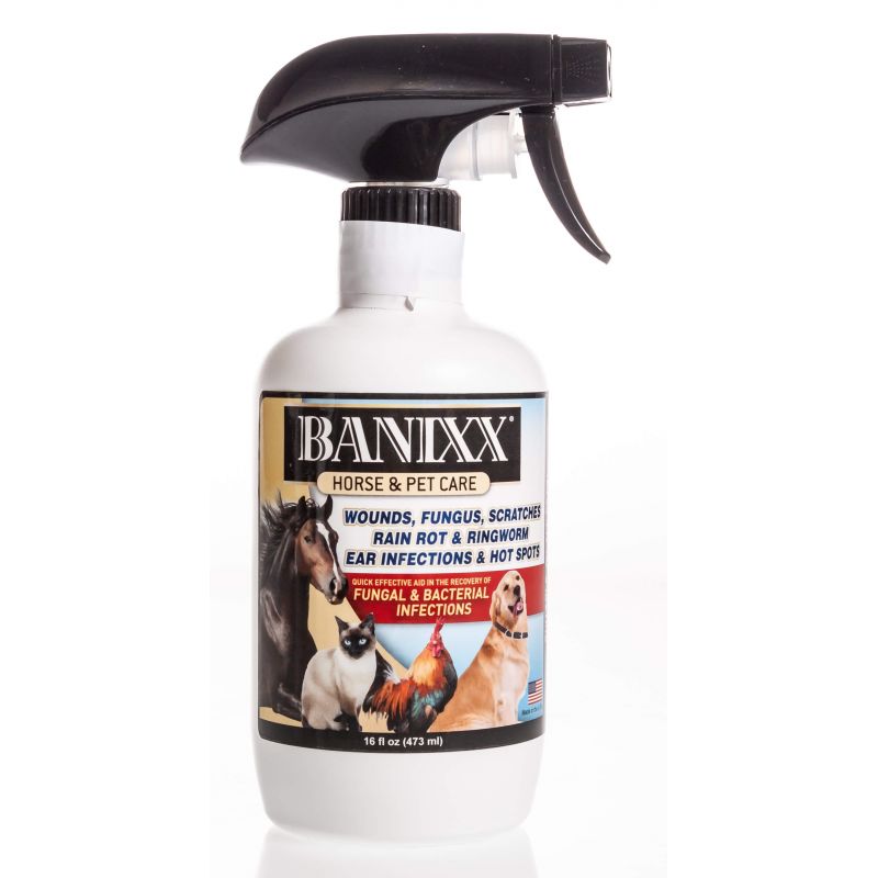 Banixx Horse & Pet Care | Santa Cruz Animal Health