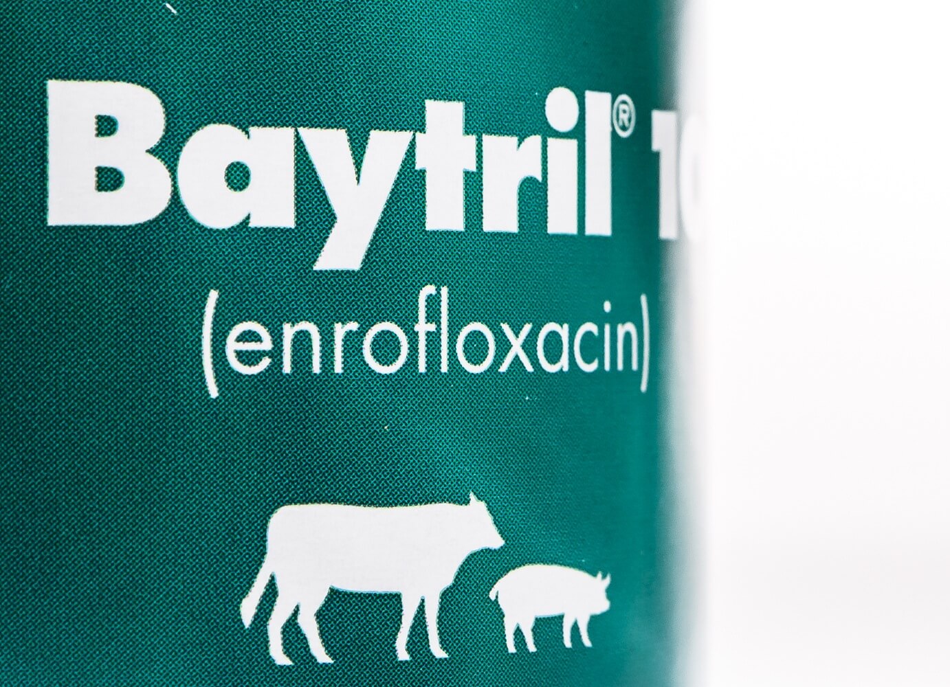 Shop Pharmacy for Sheep Rx Critical Care