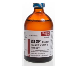 BO-SE® Injection | Santa Cruz Animal Health