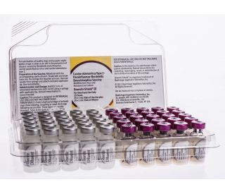 Bronchi-Shield® III | Santa Cruz Animal Health