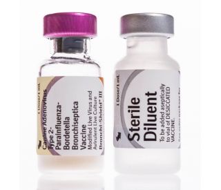 Bronchi-Shield® III | Santa Cruz Animal Health