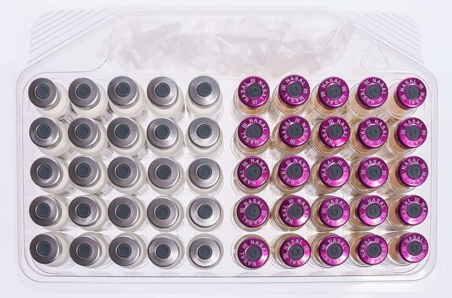 Bronchi-Shield® III | Santa Cruz Animal Health