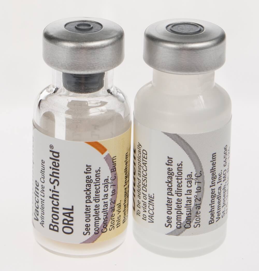 Bronchi-Shield Oral | Santa Cruz Animal Health