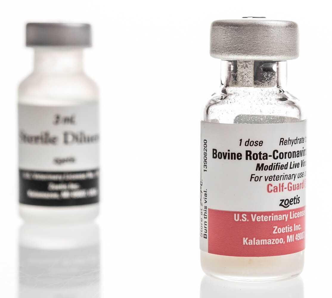 Shop Pharmacy for Sheep Rx Critical Care