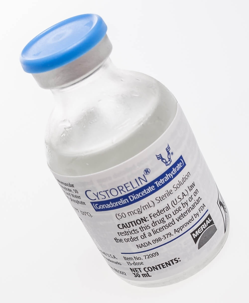 Shop Pharmacy for Sheep Rx Critical Care