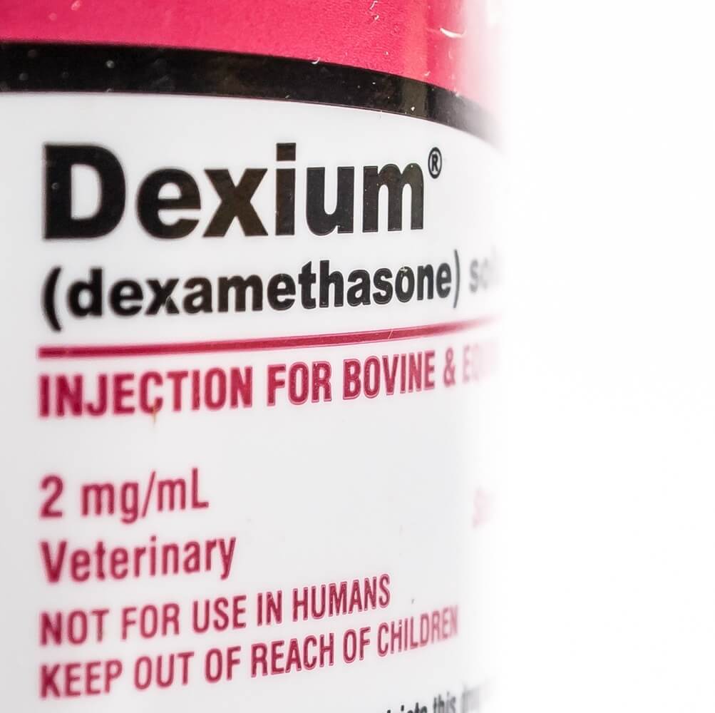 Shop Pharmacy for Sheep Rx Critical Care