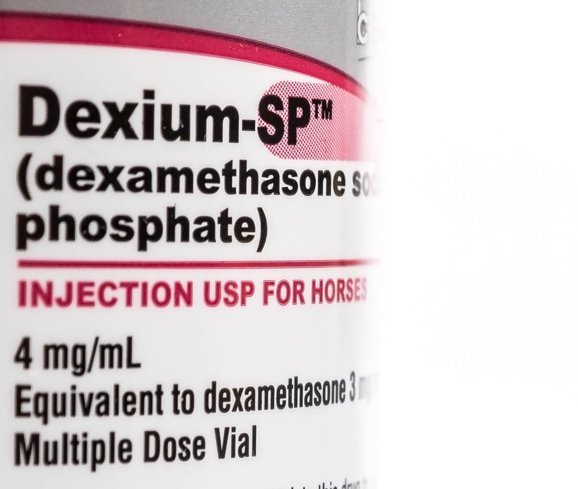 Shop Pharmacy for Sheep Rx Critical Care