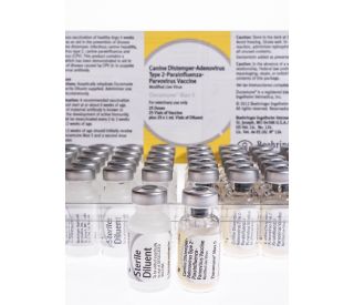 Duramune Max 5, 25 x 1 dose