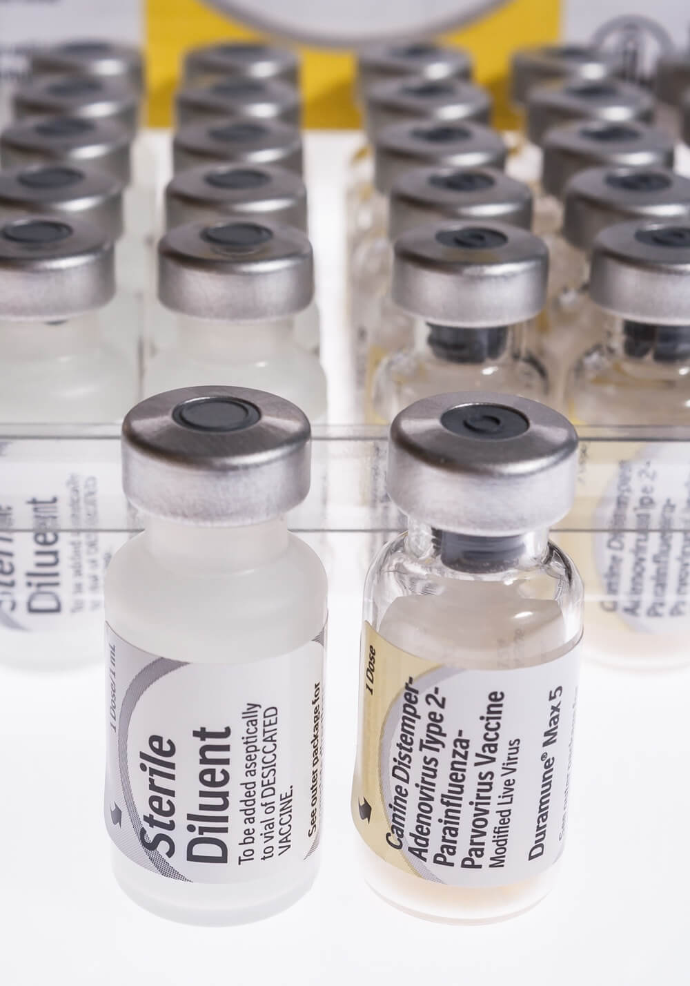 Shop Pharmacy for Sheep Rx Critical Care