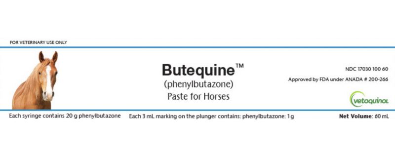 Bute Paste (phenylbutazone) | Santa Cruz Animal Health