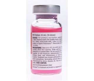 Equine POTOMAVAC+IMRAB, 10 doses