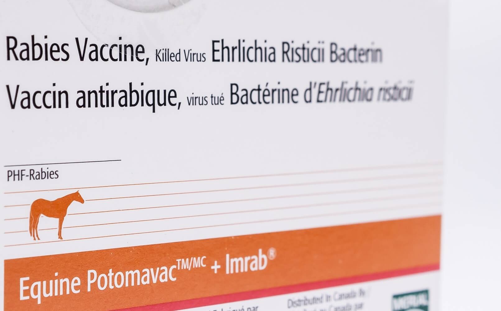 Shop Pharmacy for Sheep Rx Critical Care