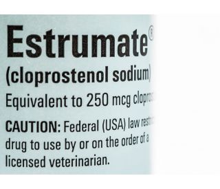 Estrumate 10 doses, 20 ml