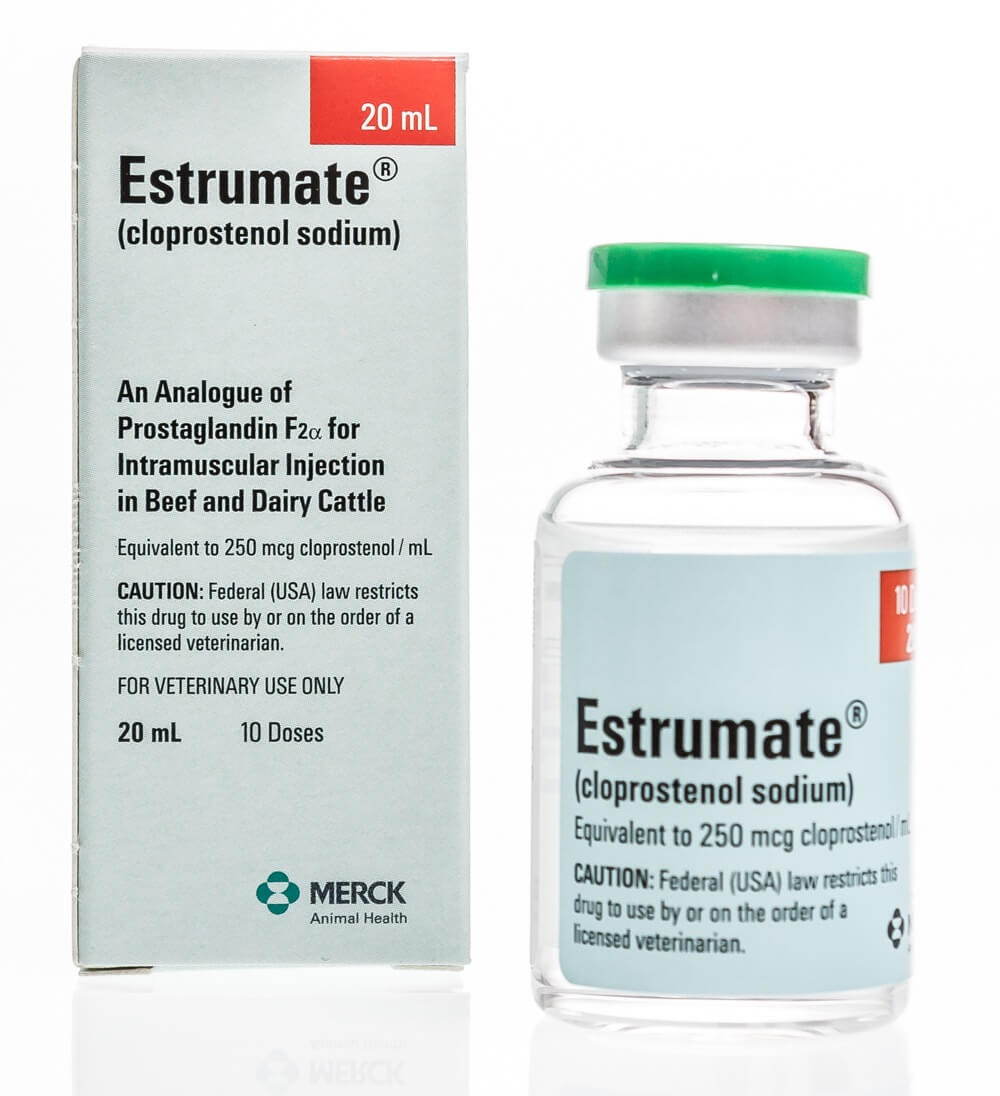 Shop Pharmacy for Sheep Rx Critical Care