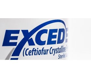 EXCEDE Cattle/Equine 200 mg, 100 ml