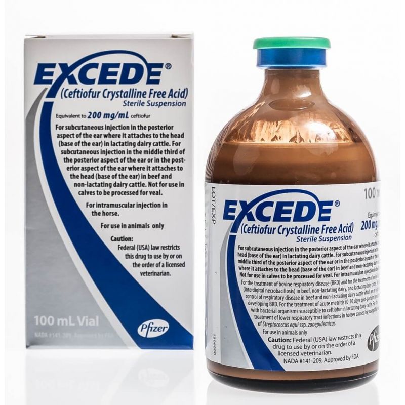 EXCEDE® Cattle/Equine | Santa Cruz Animal Health