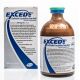 EXCEDE® Cattle/Equine | Santa Cruz Animal Health