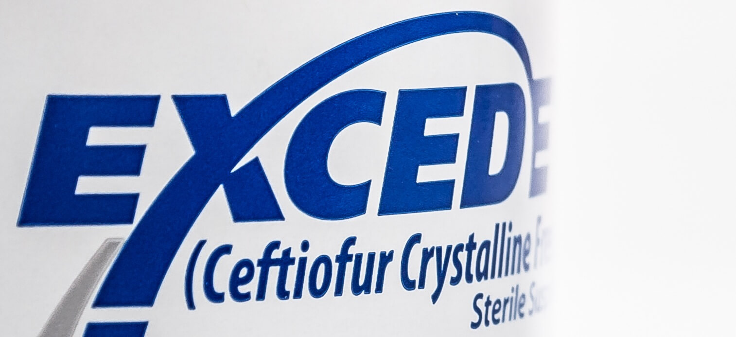 Shop Pharmacy for Sheep Rx Critical Care