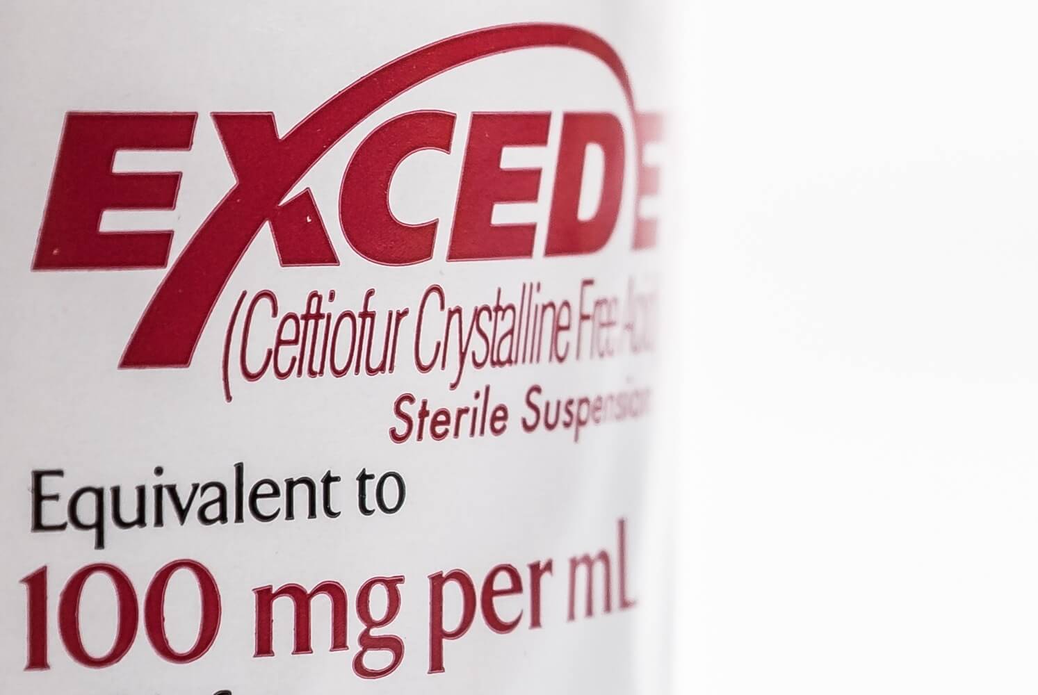 Shop Pharmacy for Sheep Rx Critical Care