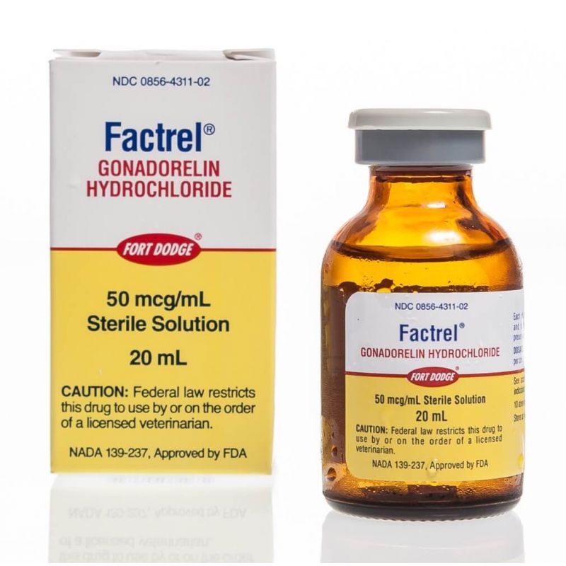 Factrel® (GnRh/gonadorelin) Injection | Santa Cruz Animal Health
