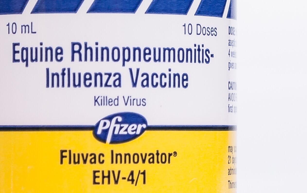 Shop Pharmacy for Sheep Rx Critical Care