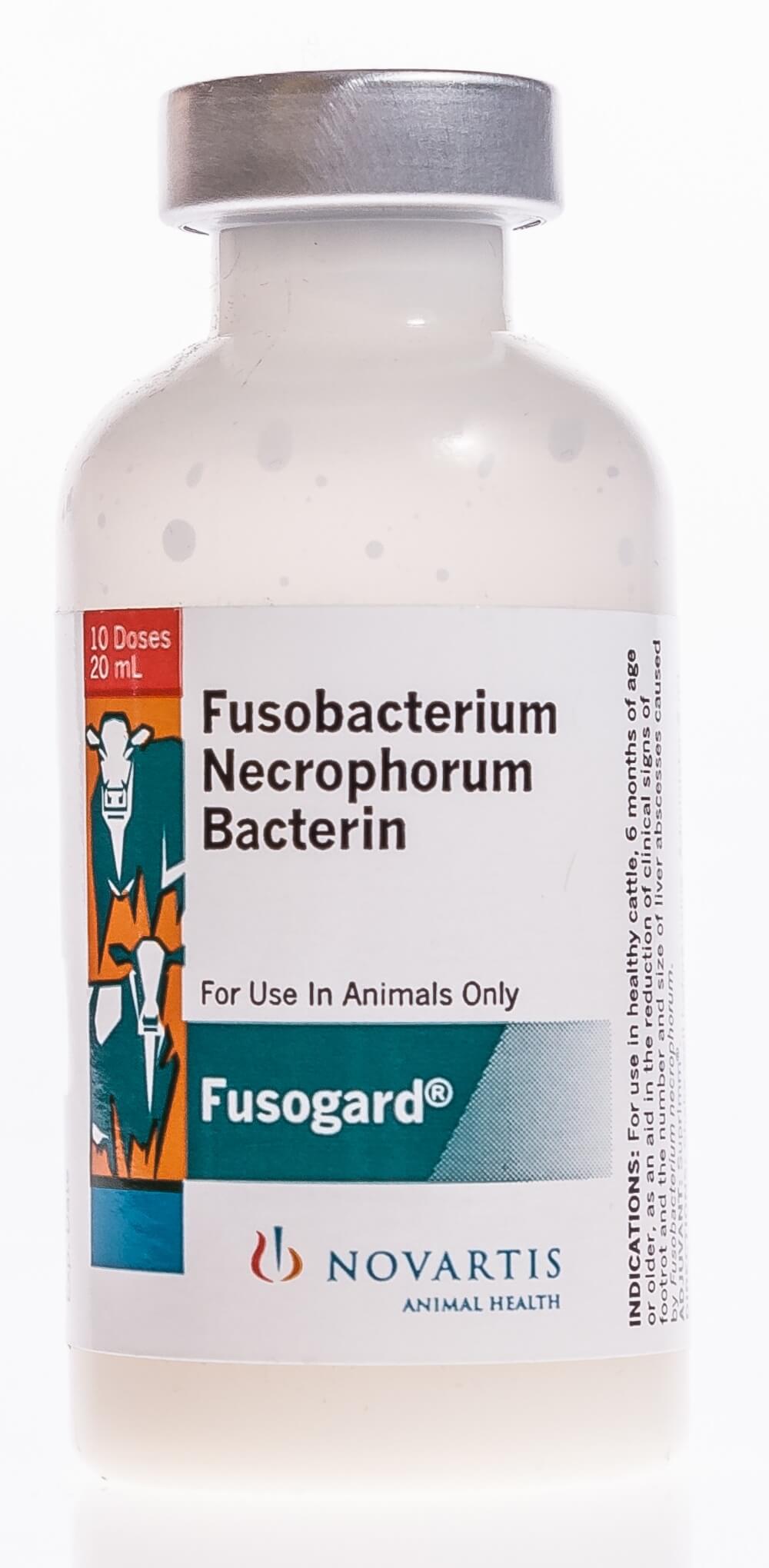 Shop Pharmacy for Sheep Rx Critical Care