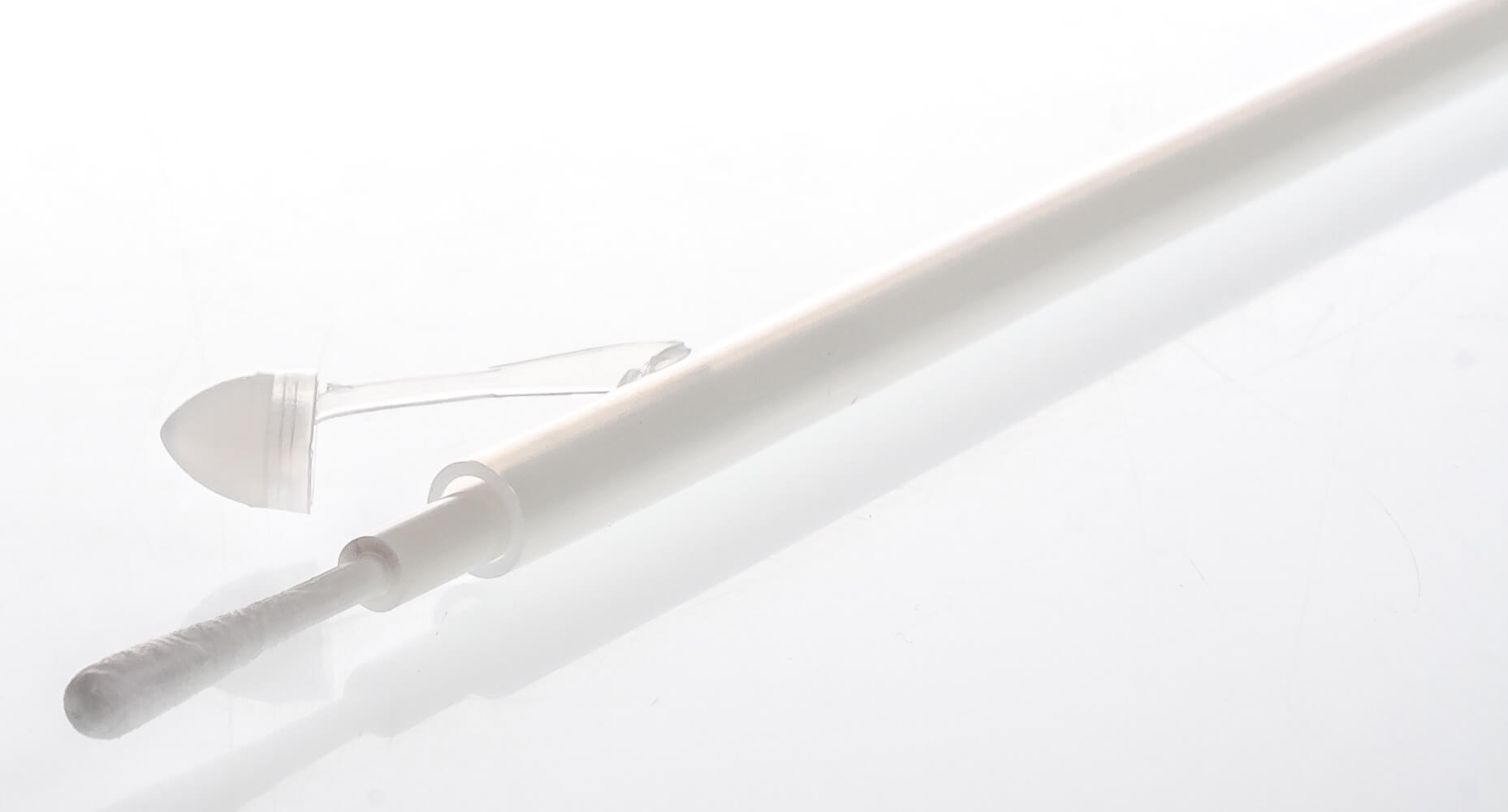 Guarded Culture Swab | Santa Cruz Animal Health