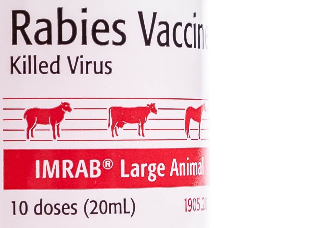 Shop Pharmacy for Sheep Rx Critical Care