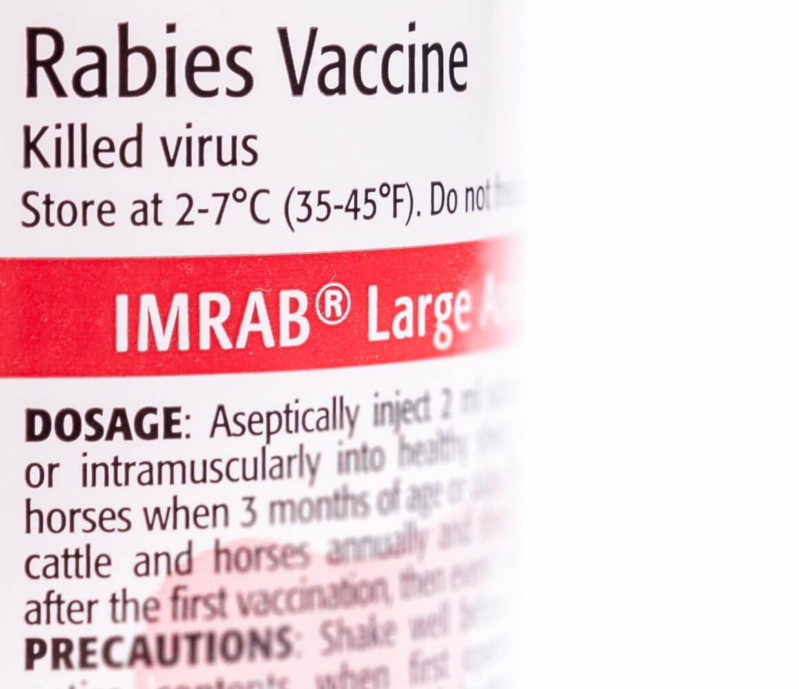 Shop Pharmacy for Sheep Rx Critical Care