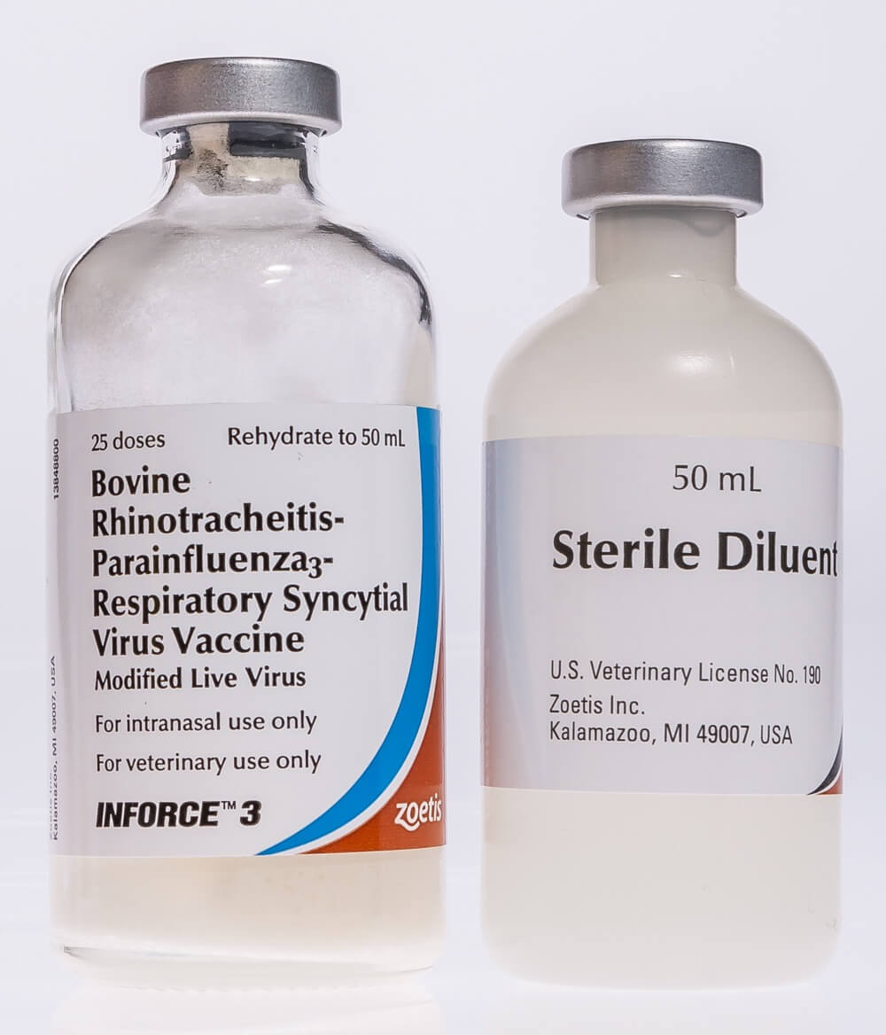 INFORCE™ 3 | Santa Cruz Animal Health