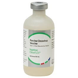 Shop Pharmacy for Sheep Rx Critical Care