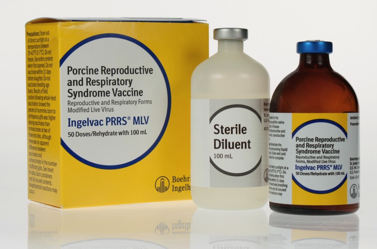 Shop Pharmacy for Sheep Rx Critical Care