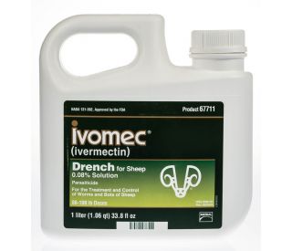 Ivomec® Sheep Drench | Santa Cruz Animal Health